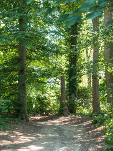 Bad Segeberg Travel Guide: 8 Best Things To Do & See Around the ...