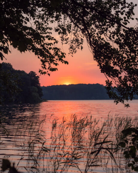 Bad Segeberg Travel Guide: 8 Best Things To Do & See Around the ...