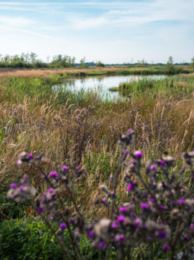 Büsum Travel Guide: 10 Best Things To Do & See by the Wadden Sea ...