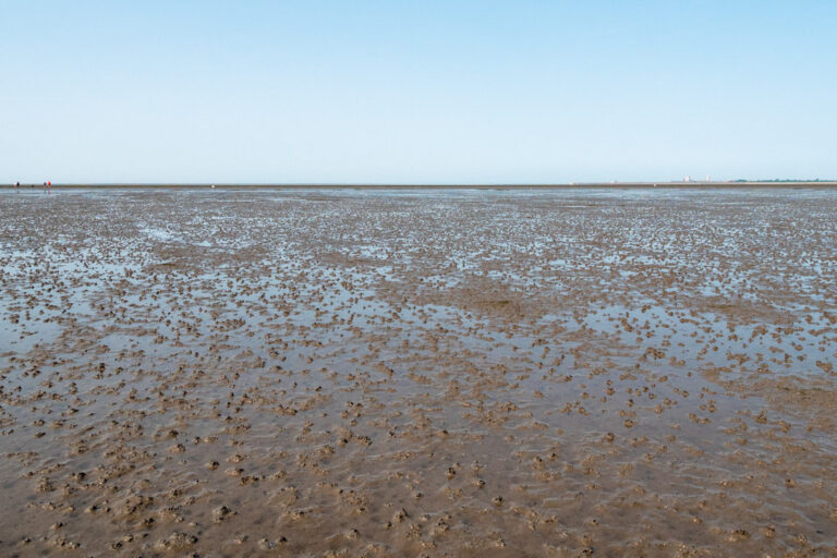 Büsum Travel Guide: 10 Best Things To Do & See by the Wadden Sea ...
