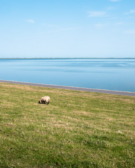 Büsum Travel Guide: 10 Best Things To Do & See by the Wadden Sea ...