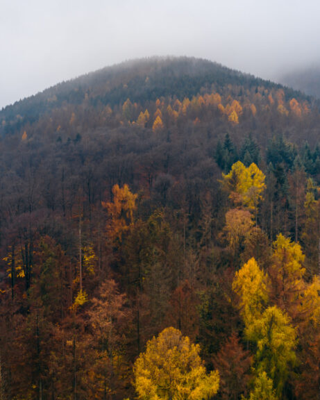 A Complete Travel Guide to the Harz Mountains: 16 Best Things to Do in ...