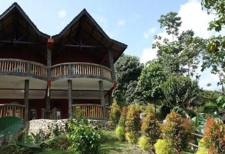 Orangutan Jungle Trekking in Bukit Lawang: Complete Travel Guide ...