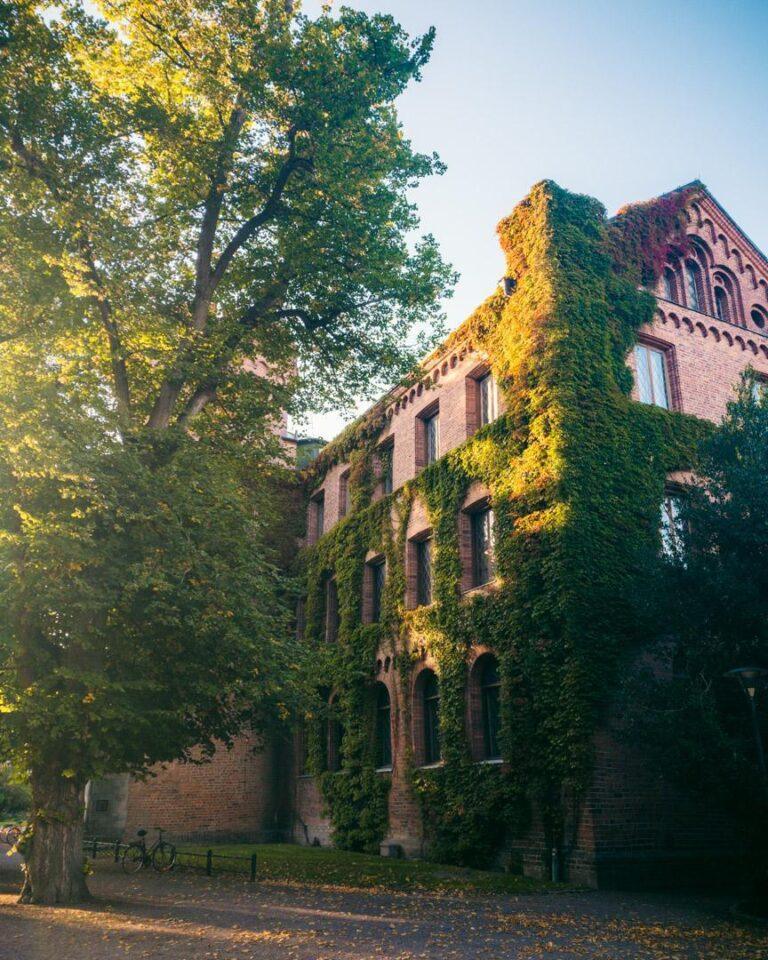 Best Things to Do in Lund, Sweden: Travel Guide to the Charming ...