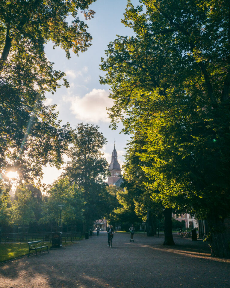 City break in Lund, Sweden: 6 Amazing Things to Do - Northabroad