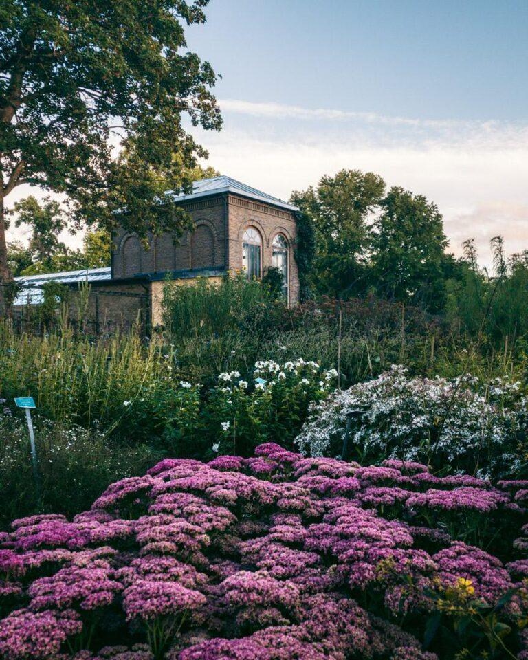 Best Things to Do in Lund, Sweden: Travel Guide to the Charming ...