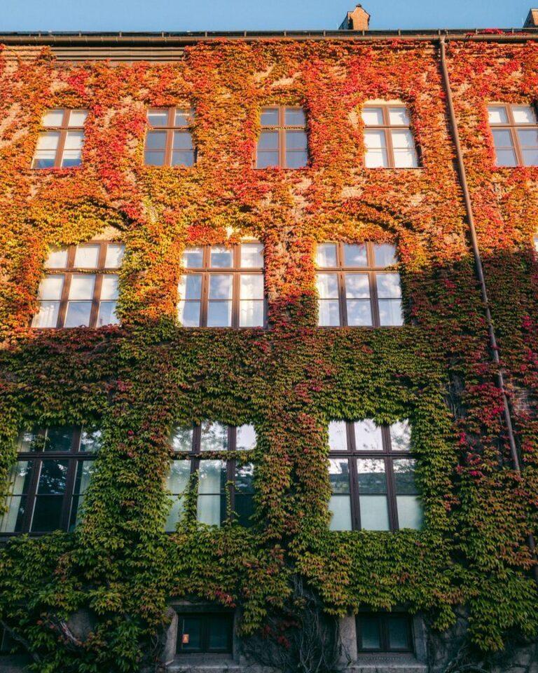 Best Things to Do in Lund, Sweden: Travel Guide to the Charming ...