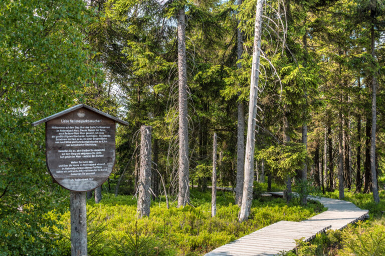 Harz Mountains: Where To Find the Best Photo Spots & Most Beautiful ...