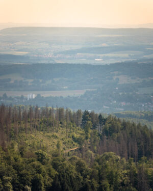 A Complete Travel Guide to the Harz Mountains: 16 Best Things to Do in ...