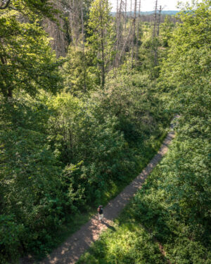 A Complete Travel Guide to the Harz Mountains: 16 Best Things to Do in ...