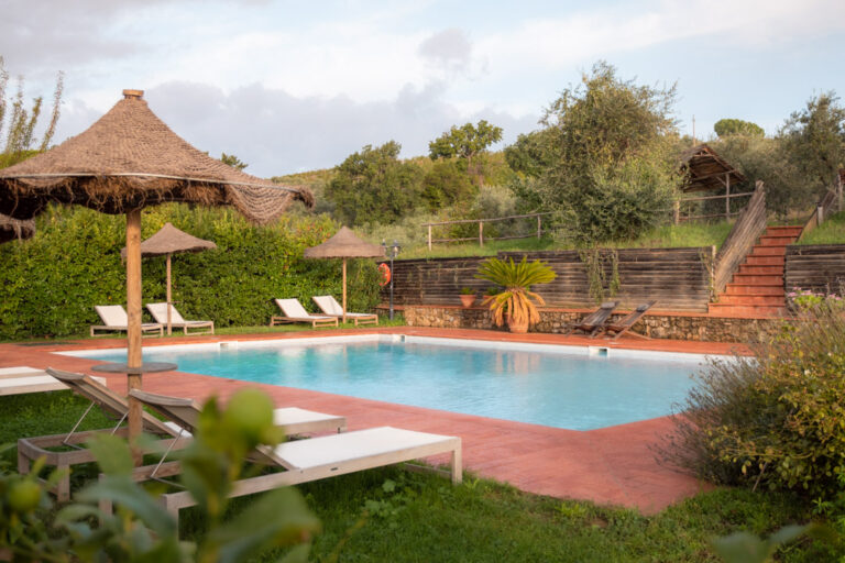 Review of Vegan Agrivilla I Pini: A Sustainable and Holistic Farmstay ...