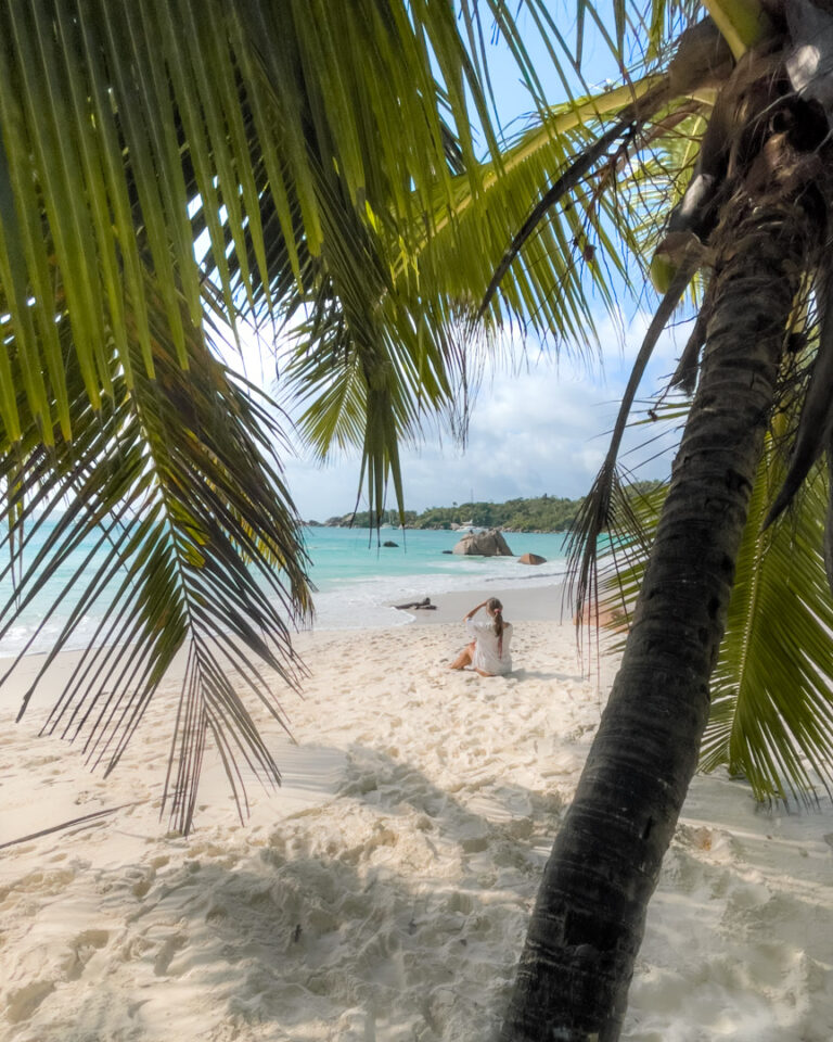 Praslin Island Travel Guide: 11 Best Beaches & Things To Do - Northabroad