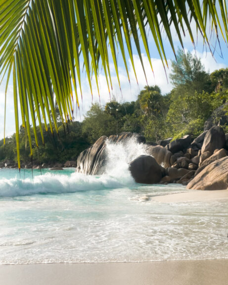 Praslin Island Travel Guide: 11 Best Beaches & Things To Do - Northabroad