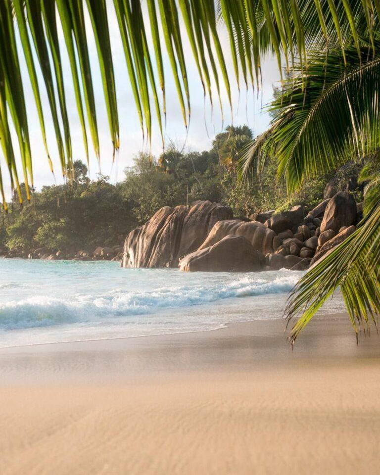 Ultimate Travel Guide to Seychelles: Best Things To Do, Where To Go ...