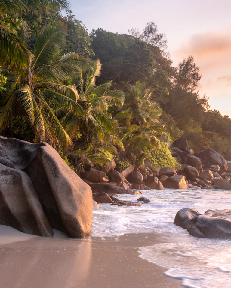 Where to Stay on Praslin, Seychelles: 13 Best Hotels & Resorts for All ...