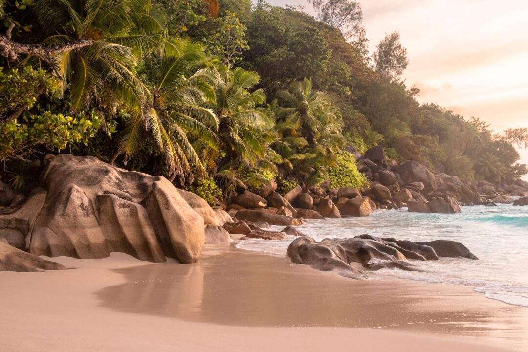 Praslin Island Travel Guide: 11 Best Beaches & Things To Do - Northabroad