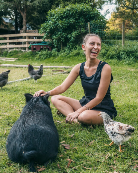 An Amazing Camping Spot for Animal Lovers on New Zealand’s North Island ...