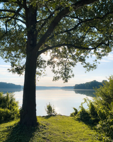 Eutin Travel Guide: 10 Best Things To Do & See in the Cultural Heart of ...