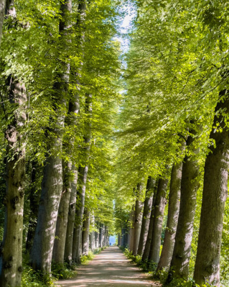 Eutin Travel Guide: 10 Best Things To Do & See in the Cultural Heart of ...