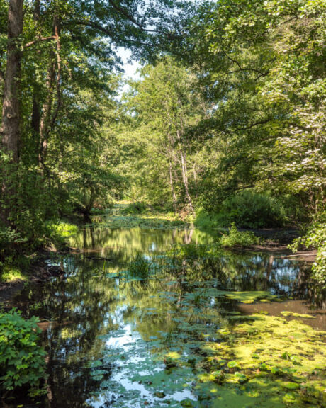 Eutin Travel Guide: 10 Best Things To Do & See in the Cultural Heart of ...