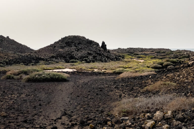 Lobos Island in the Canary Islands: How To Visit & Best Things To Do ...