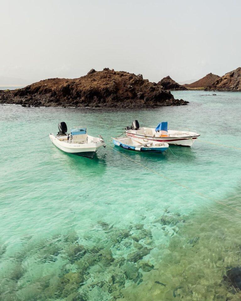 Lobos Island in the Canary Islands: How To Visit & Best Things To Do ...