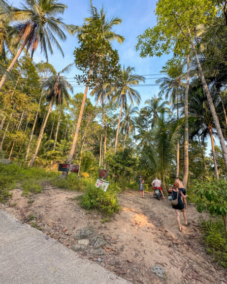 Overlap Stone 1 + 2 in Koh Samui Travel Guide: How to Visit & What To ...