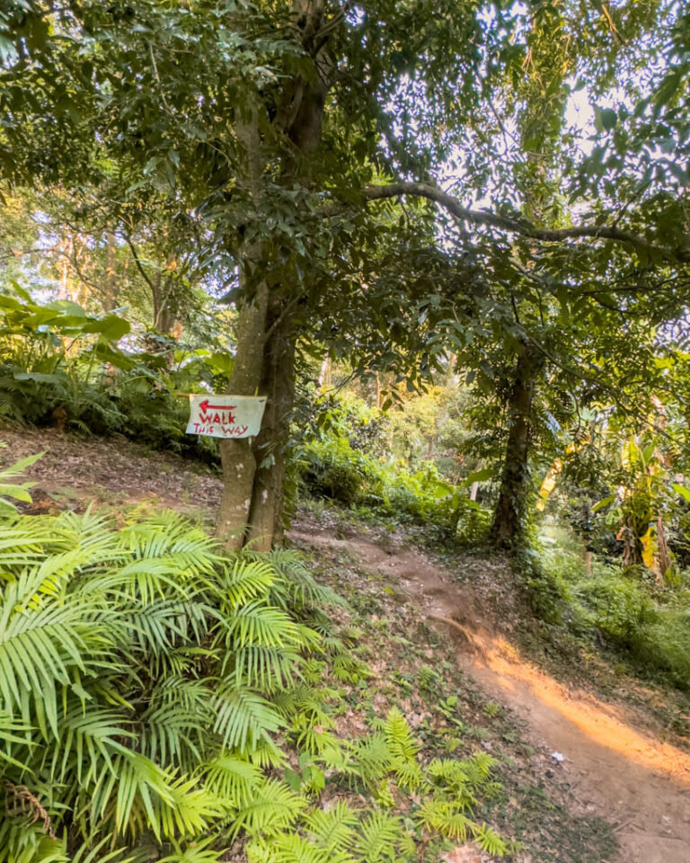 Overlap Stone 1 + 2 in Koh Samui Travel Guide: How to Visit & What To ...