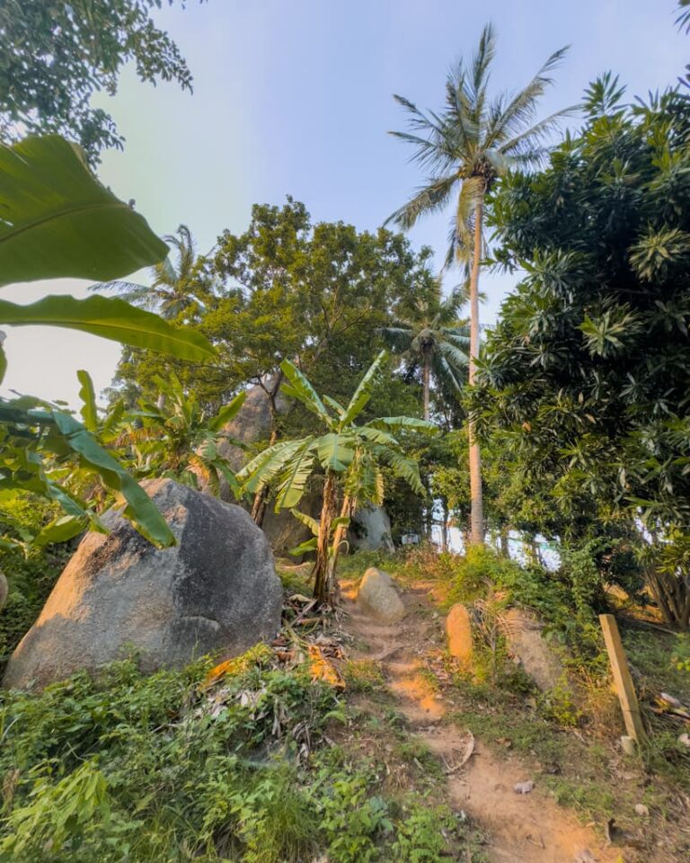 Overlap Stone 1 + 2 in Koh Samui Travel Guide: How to Visit & What To ...