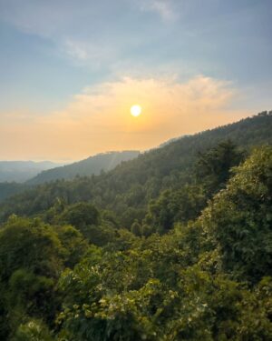 Overlap Stone 1 + 2 in Koh Samui Travel Guide: How to Visit & What To ...