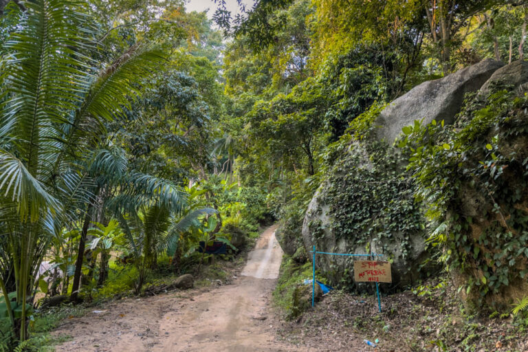 Overlap Stone 1 + 2 in Koh Samui Travel Guide: How to Visit & What To ...