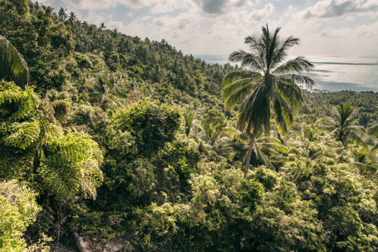 Overlap Stone in Koh Samui Travel Guide: How to Visit & What To Expect ...