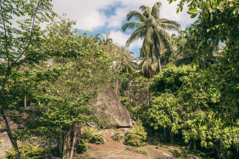 Overlap Stone in Koh Samui Travel Guide: How to Visit & What To Expect ...
