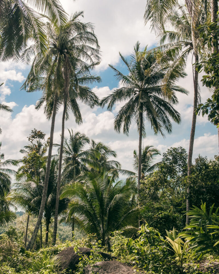 Overlap Stone in Koh Samui Travel Guide: How to Visit & What To Expect ...