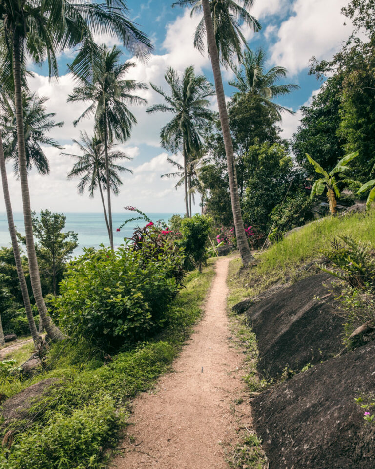 Overlap Stone in Koh Samui Travel Guide: How to Visit & What To Expect ...