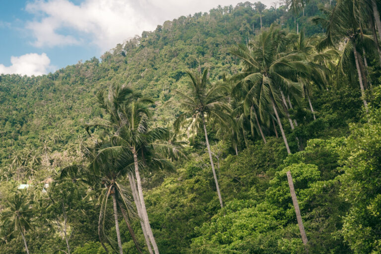 Overlap Stone 1 + 2 in Koh Samui Travel Guide: How to Visit & What To ...