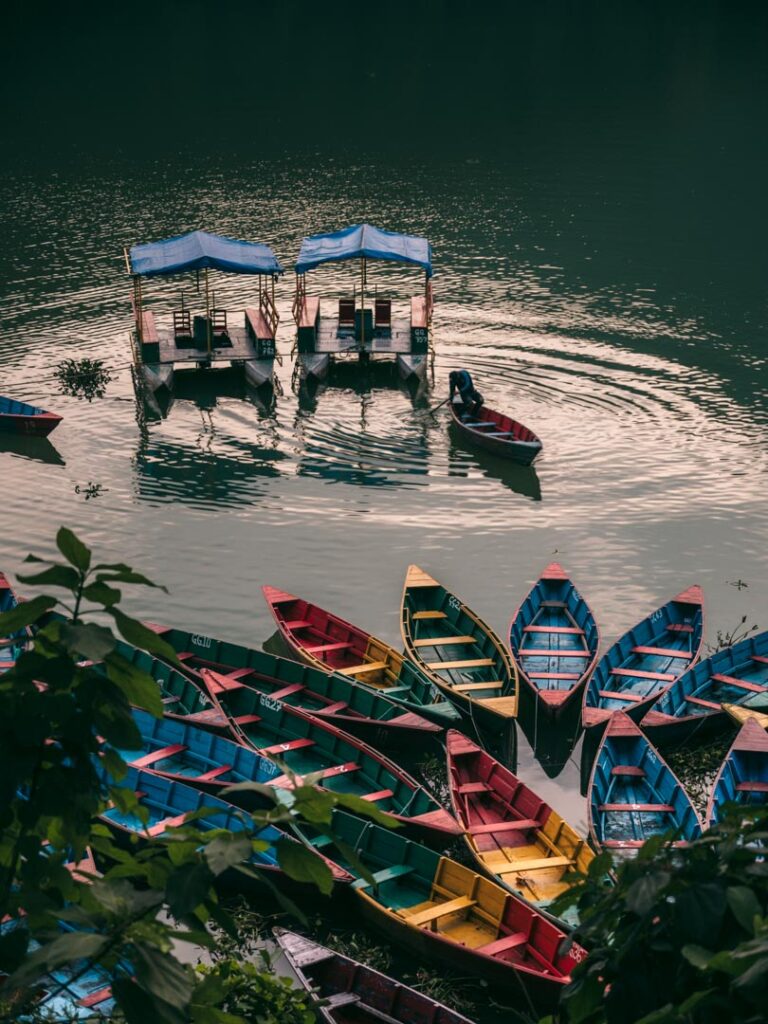 Panchase Trek in Nepal: A Complete Travel Guide - Northabroad