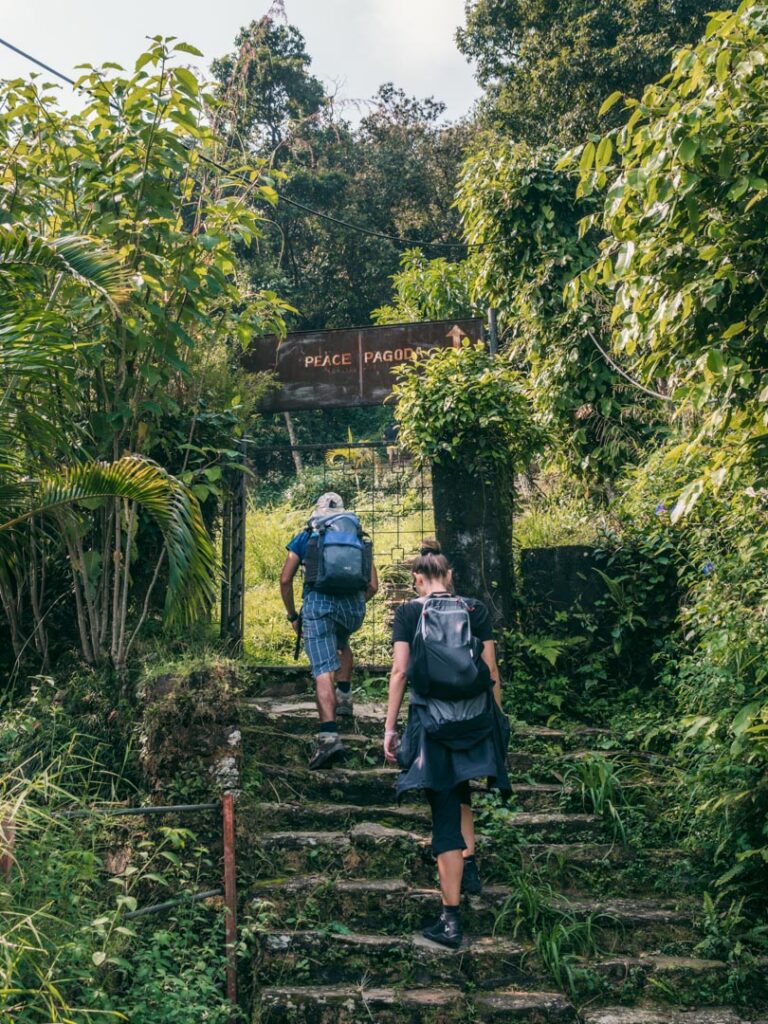 Panchase Trek in Nepal: A Complete Travel Guide - Northabroad