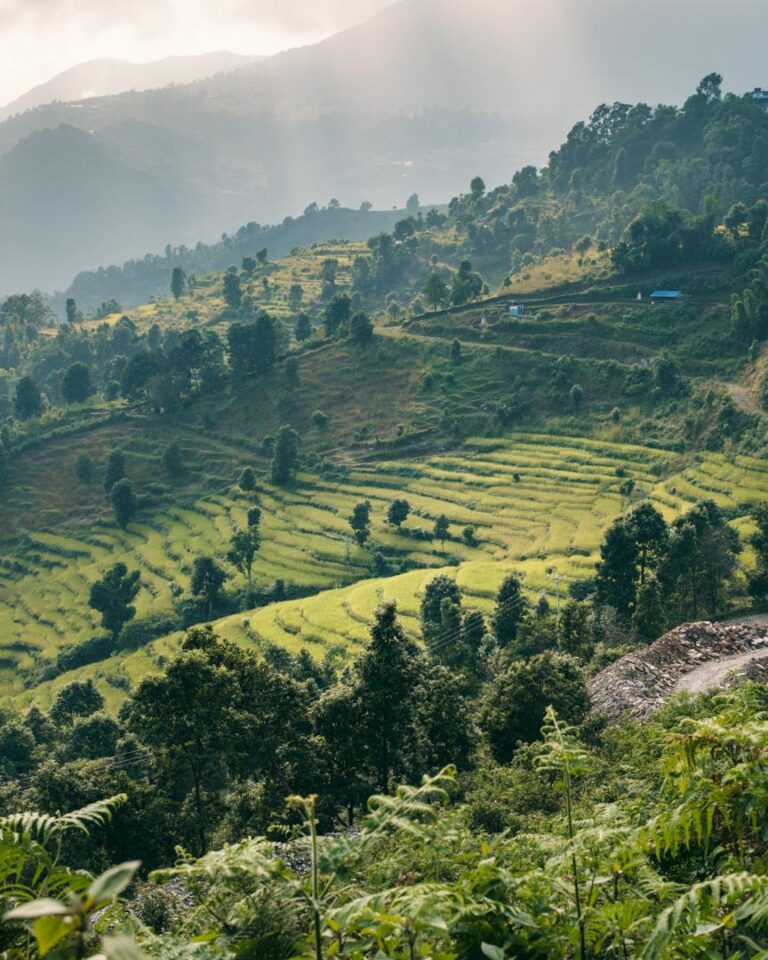 Panchase Trek in Nepal: A Complete Travel Guide - Northabroad