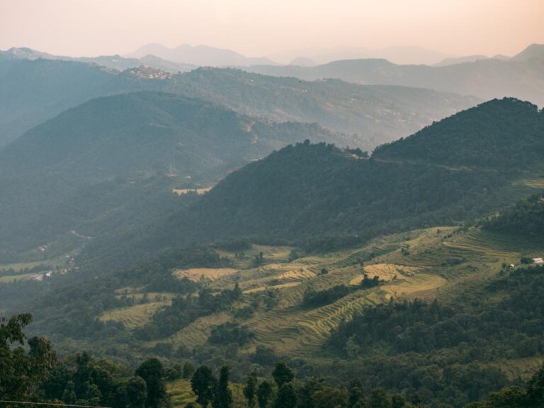 Panchase Trek in Nepal: A Complete Travel Guide - Northabroad