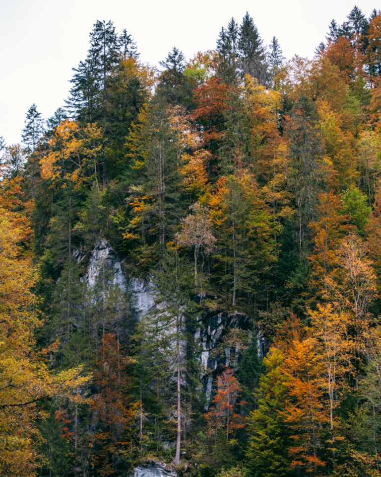 Travel Guide to Partnach Gorge in Germany: Hiking the Partnachklamm ...