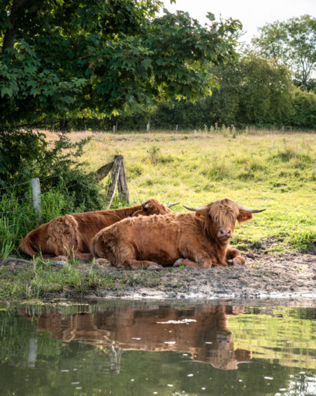 Plön Travel Guide: 10 Best Things To Do & See in the Beautiful Lake ...