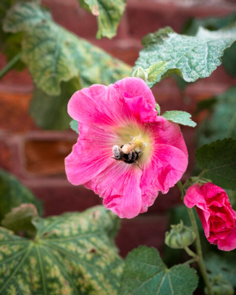 Plön Travel Guide: 10 Best Things To Do & See in the Beautiful Lake ...