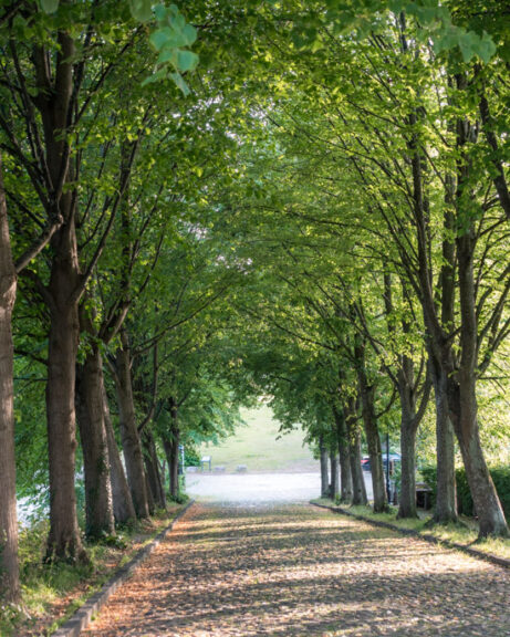 Plön Travel Guide: 10 Best Things To Do & See in the Beautiful Lake ...