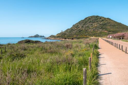 How to Visit Pointe de la Parata & The Iles Sanguinaires Viewpoint ...