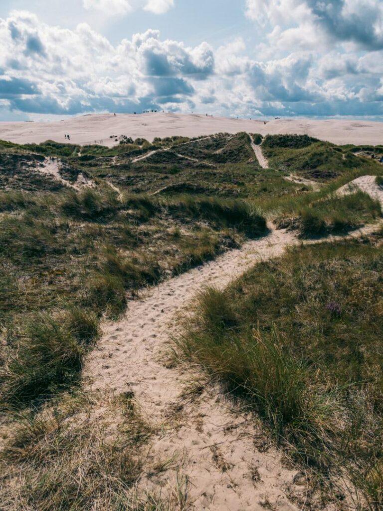 Travel Guide to Skagen: 10 Best Things To Do & See at the Top of ...