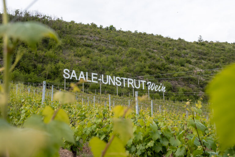 Saale-Unstrut Travel Guide: 9 Best Things To Do & See in the German ...