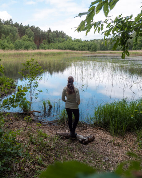 Saale-Unstrut Travel Guide: 9 Best Things To Do & See in the German ...