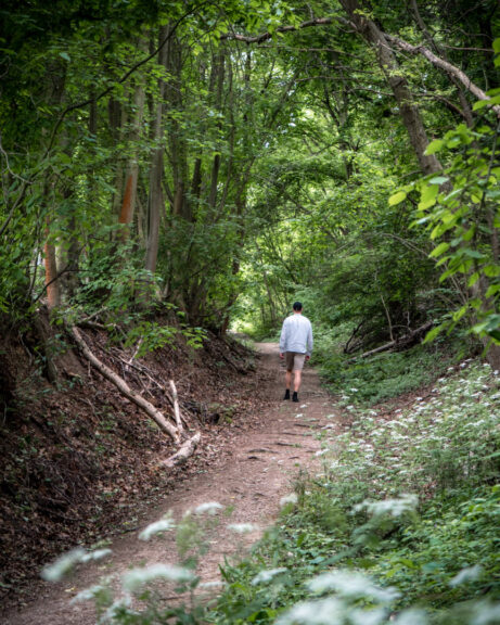 Saale-Unstrut Travel Guide: 9 Best Things To Do & See in the German ...