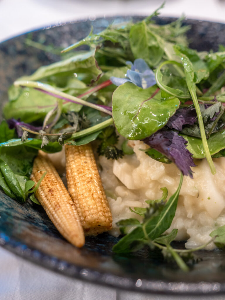 Saale-Unstrut Travel Guide: 9 Best Things To Do & See in the German ...